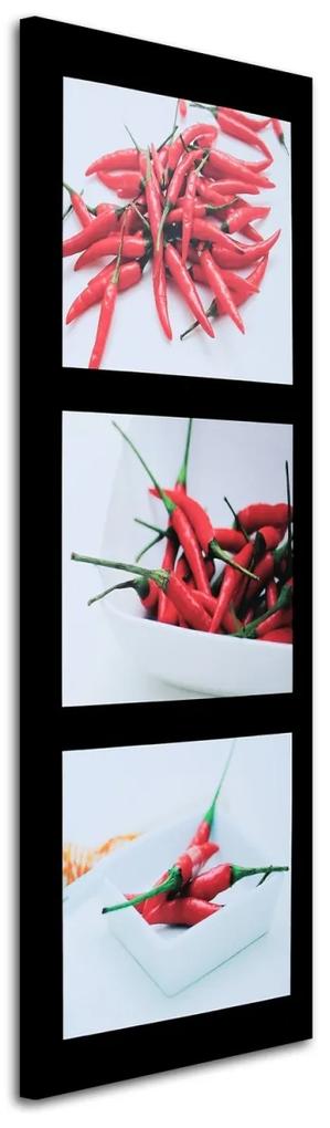 Obraz na plátně Koření Papriky - 40x120 cm