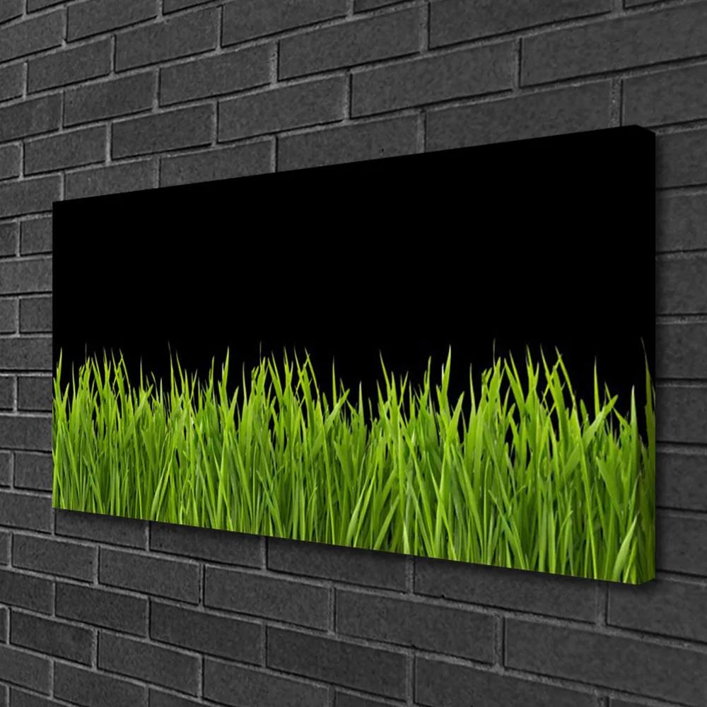 Obraz na plátně Zelená Tráva Příroda 100x50 cm
