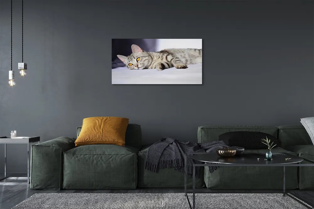 Obrazy na plátně ležící kočka 100x50 cm