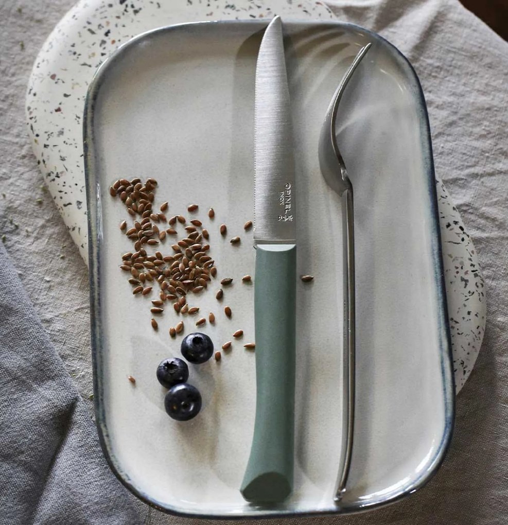 Opinel Bon Appetit + steakový nůž s polymerovou rukojetí 11 cm, zelená, 002195