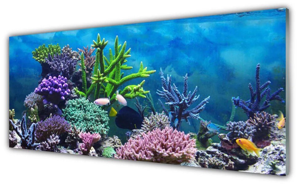 Plexisklo-obraz Akvárium Rybičky Pod Vodou 125x50 cm
