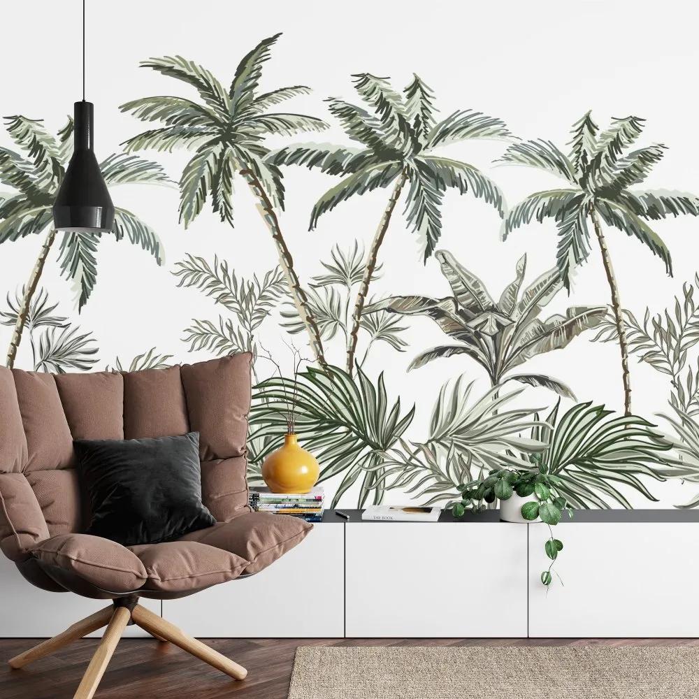 Fototapeta Palmy A Tropické Rostliny Samolepící tapety 180x120