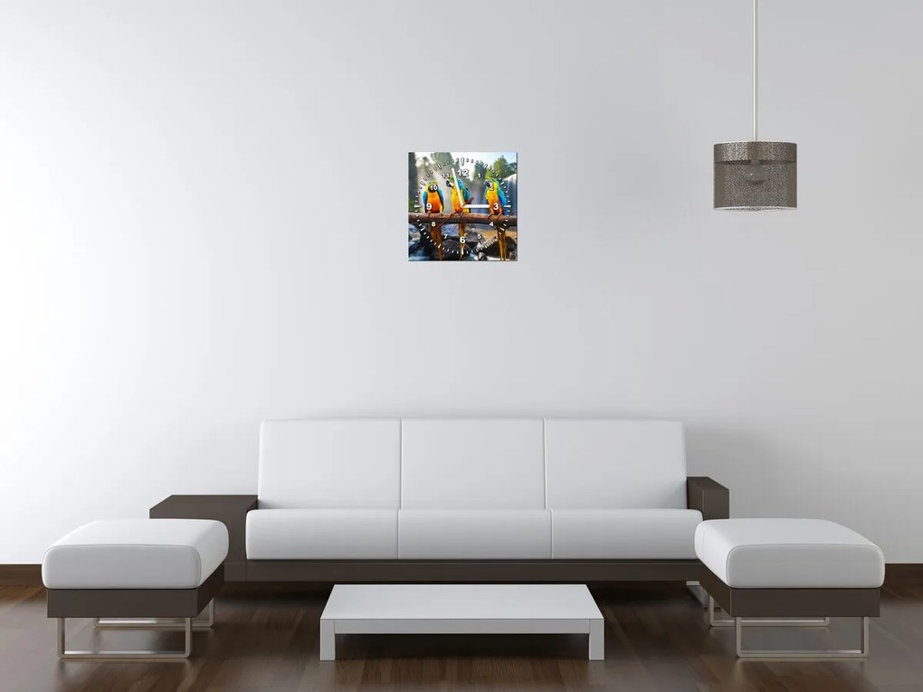 Gario Obraz s hodinami Barevní papoušci Rozměry: 30 x 30 cm