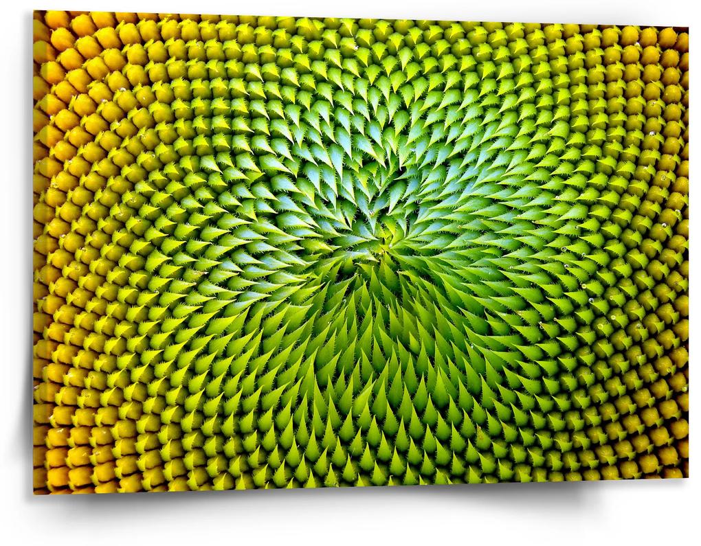Obraz - Detailní květ 150x110 cm