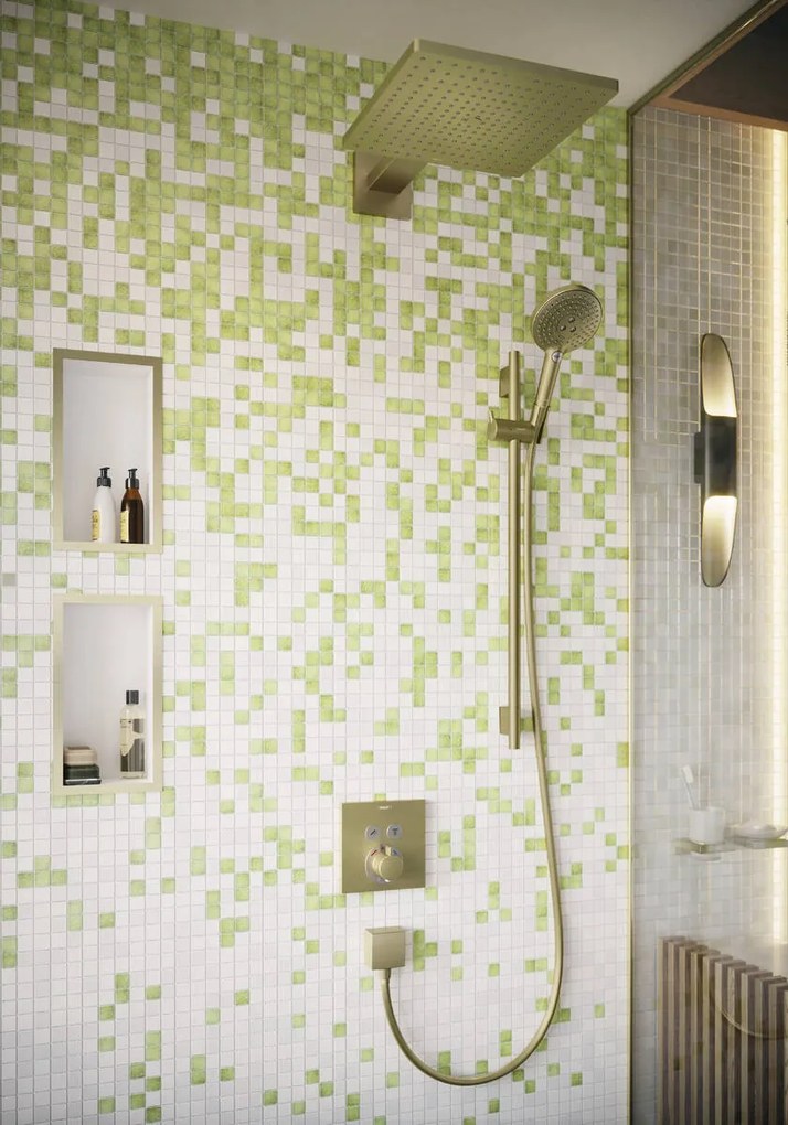 Hansgrohe Raindance Select S, ruční sprcha 120 3jet, kartáčovaný bronz, HAN-26530140