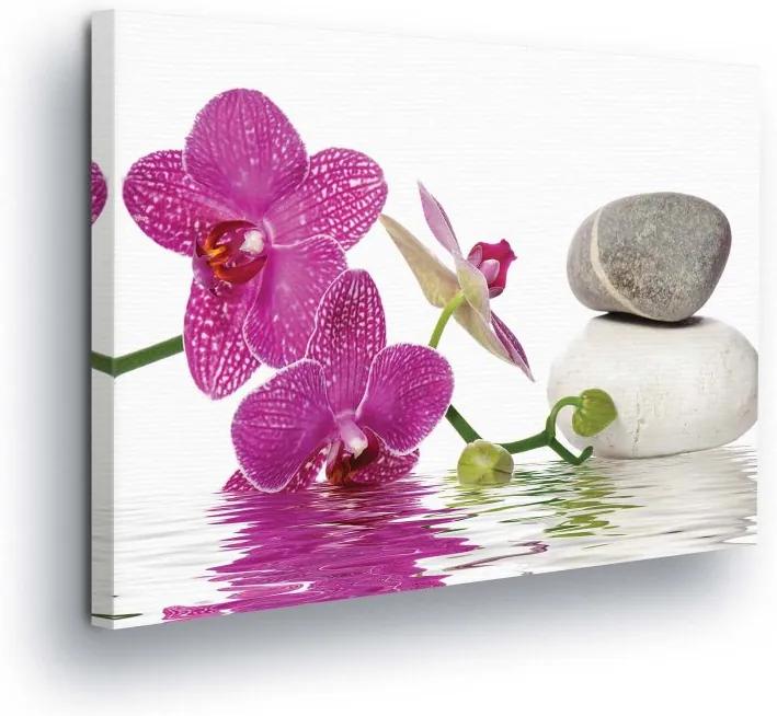 GLIX Obraz na plátně - Fuchsiové Květy ve Spa 80x60 cm