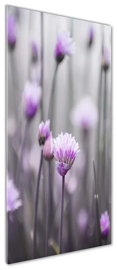 Wallmuralia Fotoobraz na skle Květy pažitky 50x125 cm