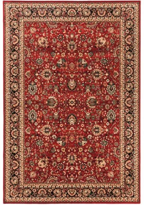 Orientální vlněný koberec Kashqai 4362/300 Osta Varianta: 200x300