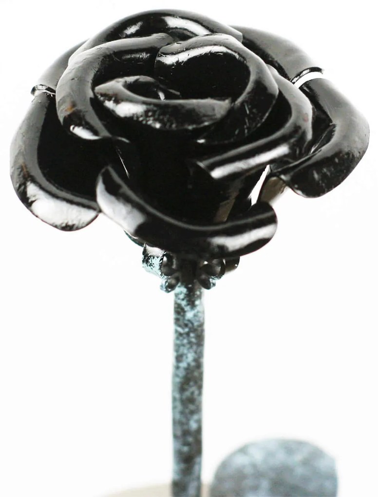 Radotínská růže - černá - M (délka 40 - 49 cm)