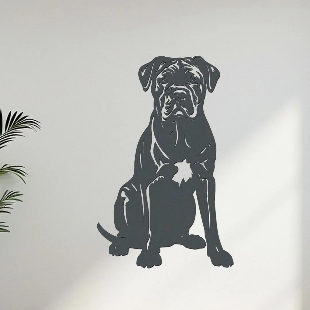 dřevo života Dřevěný obraz Cane Corso Zvolte rozměr (cm): 26x40, Zvolte barvu dekoru: Černá