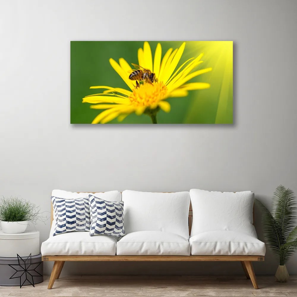 Obraz na plátně Vosa Květ Rostlina Příroda 100x50 cm