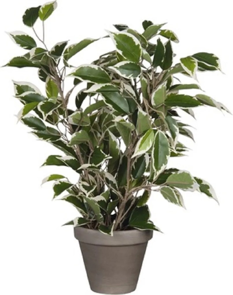 Mica Decorations Umělá květina Ficus Natasaja 40 cm