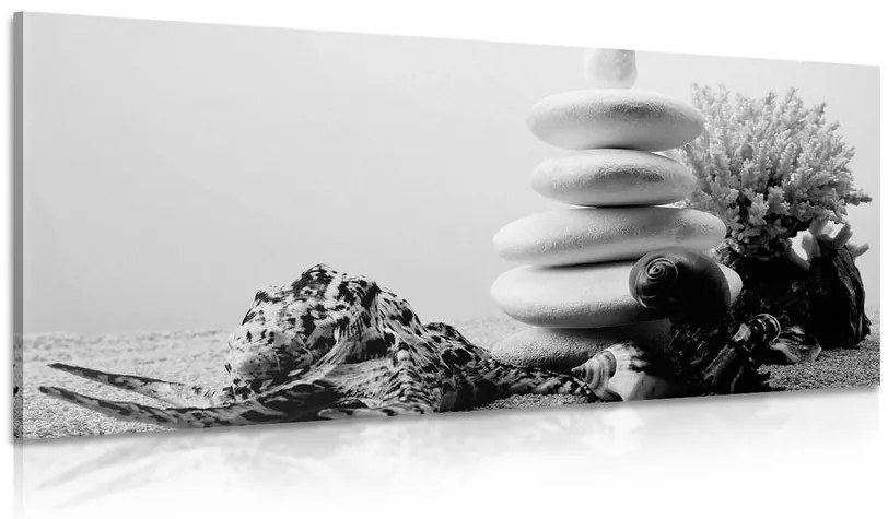 Obraz Zen kameny s mušlemi v čiernobílém provedení Varianta: 120x60