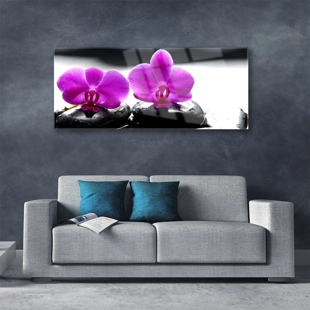 Plexisklo-obraz Květiny Kameny Zen Lázně 125x50 cm