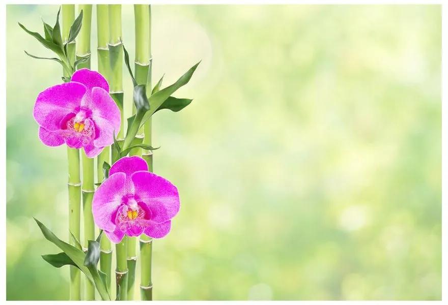 Fototapeta Orchidej a bambus 104x70