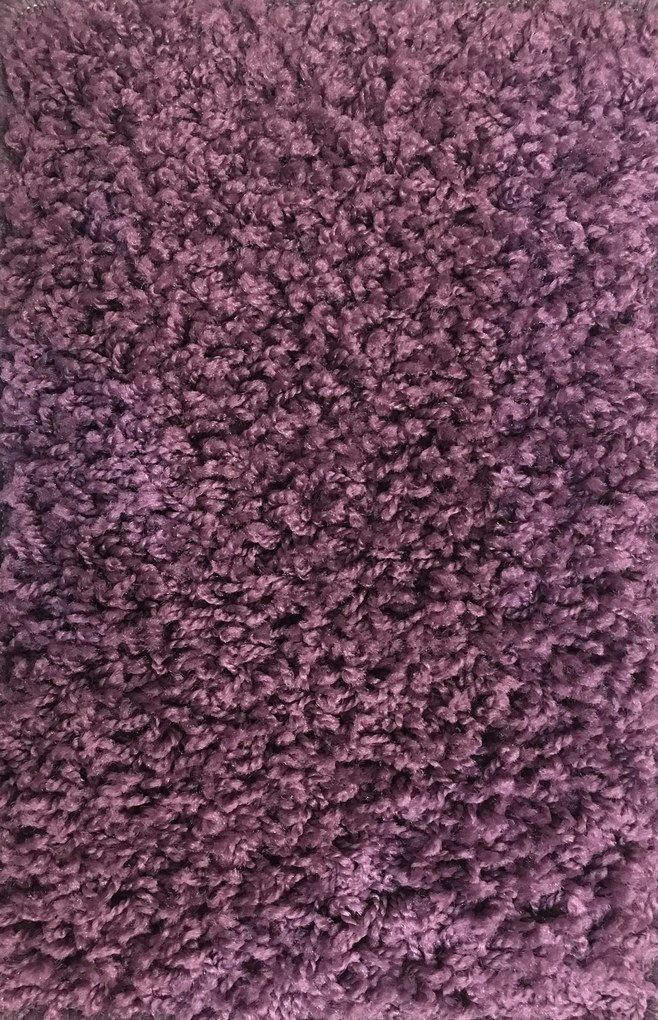 Moderní kusový koberec Color Shaggy | fialový Typ: kulatý 200 cm