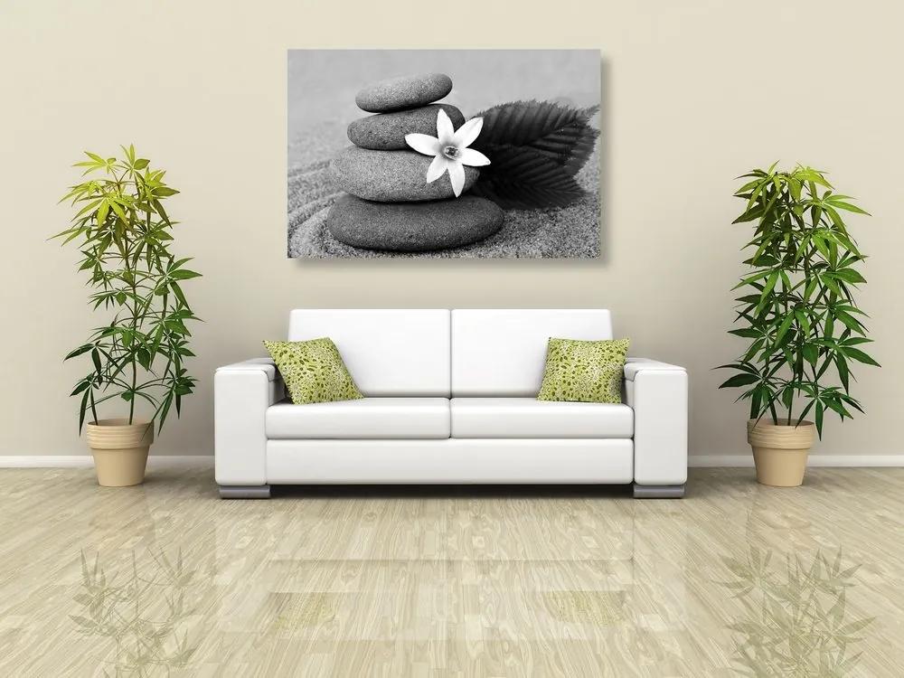 Obraz květ a kameny v písku v černobílém provedení - 120x80 cm