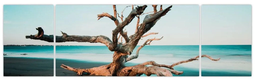 Obraz - Vyplaveno na pláži (170x50 cm)