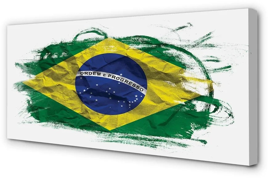Obrazy na plátně brazilská vlajka 125x50 cm