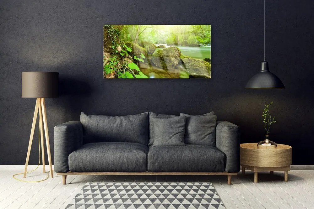 Obraz na skle Jezero Kameny Příroda 140x70 cm