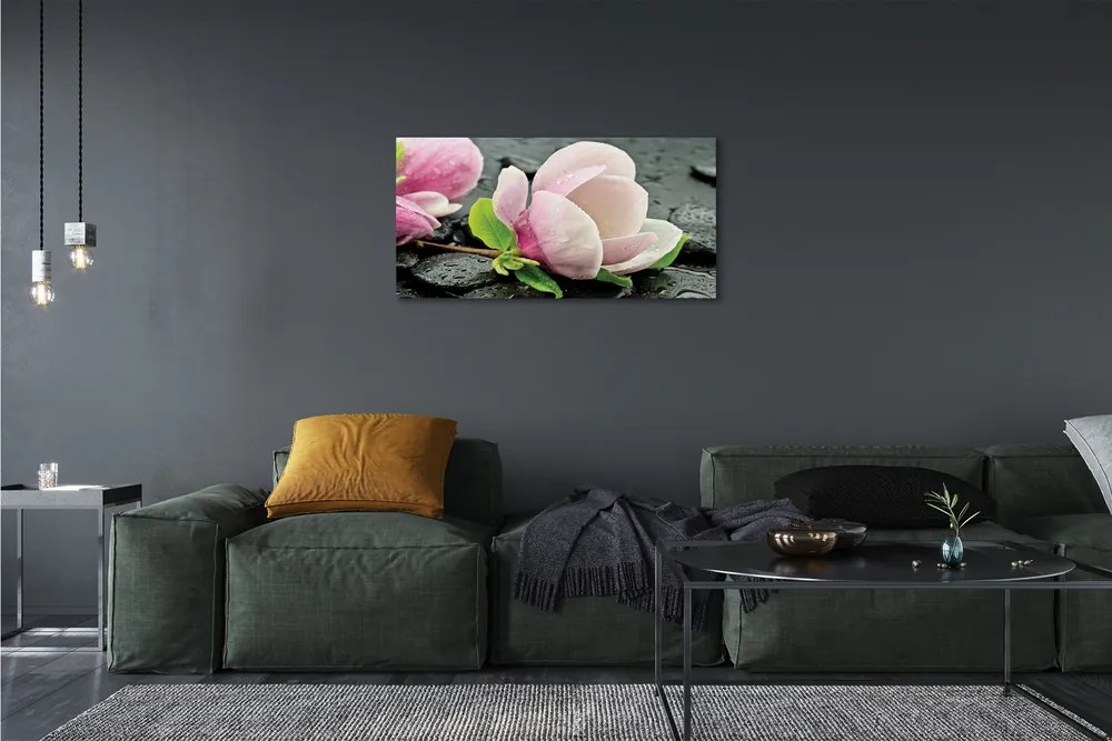 Obrazy na plátně Magnolia kameny 100x50 cm