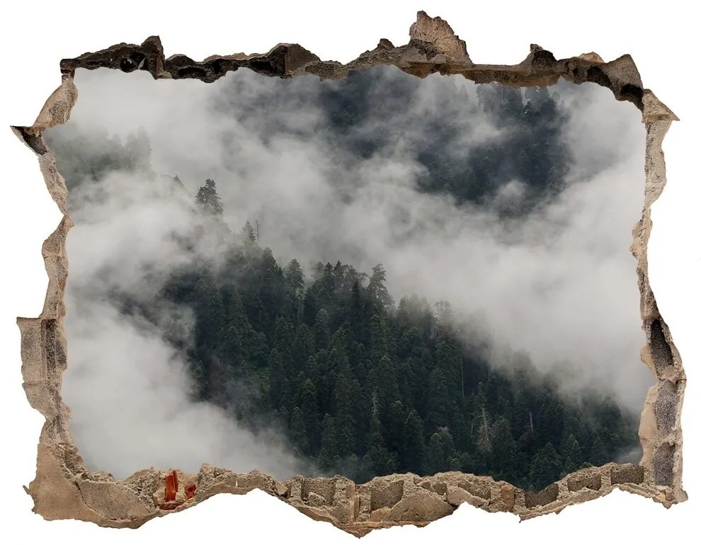 Wallmuralia Samolepící nálepka beton Mlha nad lesem 95x64 cm