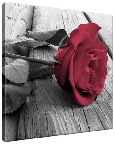 Tištěný obraz Okouzlující růže 30x30cm 2076A_1AI