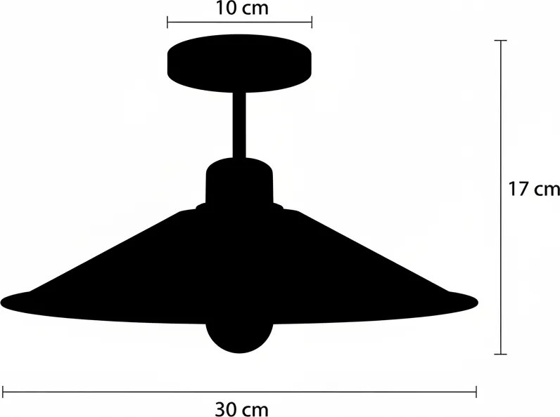 Rustikální stropní světlo LEO bronzová barva 30 cm 1×E27
