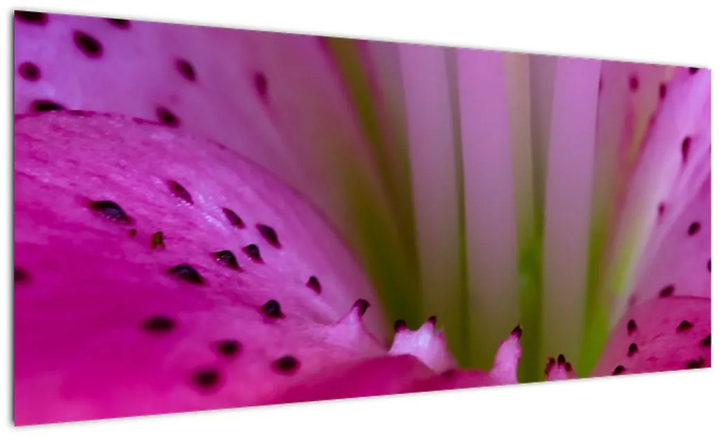 Detail květu - moderní obraz (100x40cm)