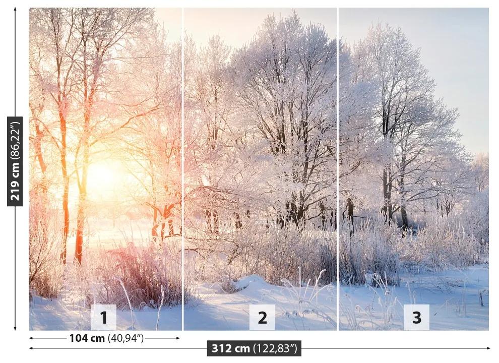 Fototapeta Zimní stromy 104x70