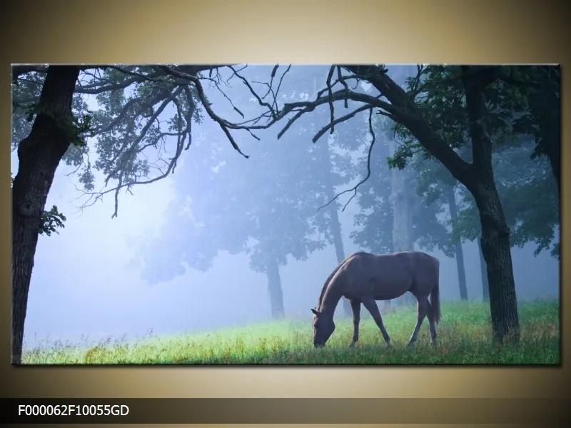 Obraz koně v přírodě (), 40 dalších rozměrů