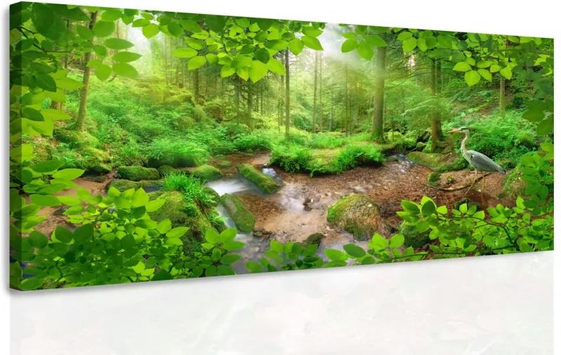 Obraz - Pohled do lesa (120x60 cm) - InSmile ®