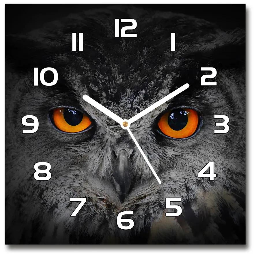 Wallmuralia Skleněné hodiny oči sovy 30x30 Oči sovy 30x30 cm