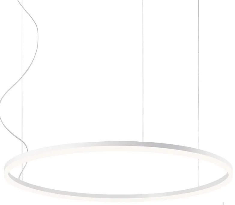 Redo group Redo Orbit direct, závěsné kruhové svítidlo, 55W LED 4000K DALI, bílá, prům. 80cm