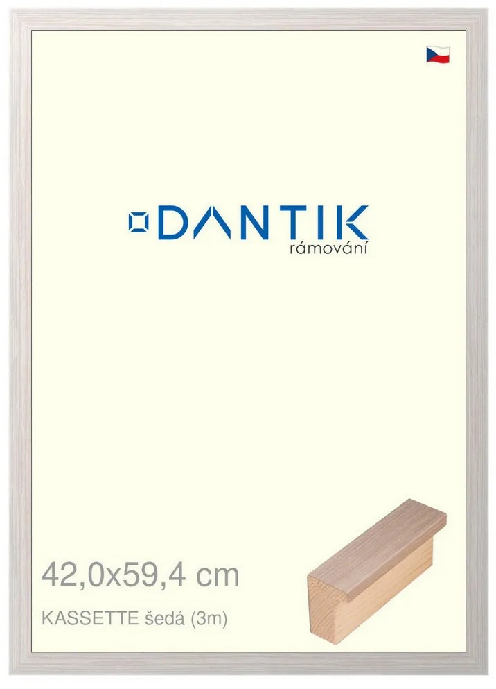 DANTIK rámeček 42x59,4 | KASSETTE šedá (Plexi Čiré)