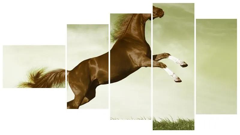 Obraz hnědého koně na zadních  (110x60 cm), 40 dalších rozměrů