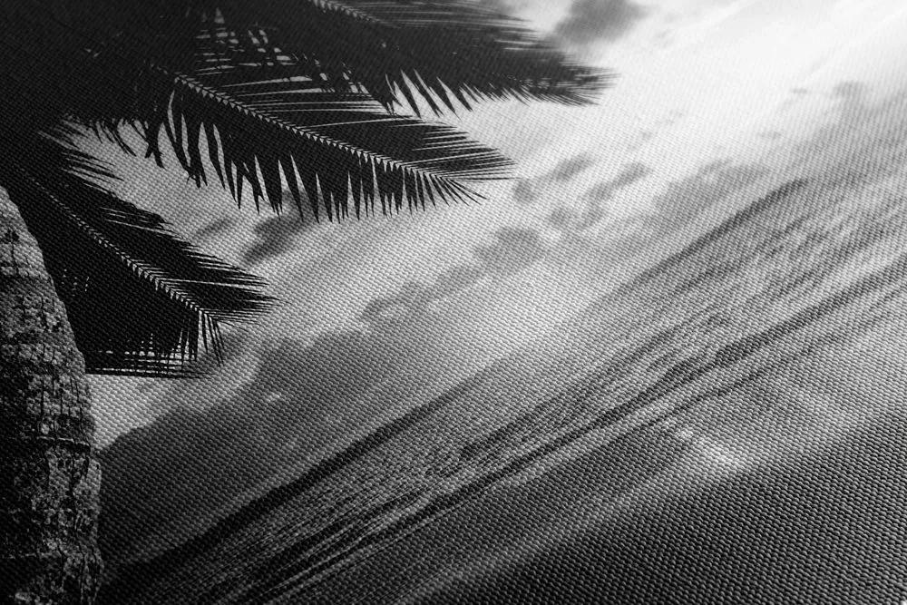 Obraz východ slunce na karibské pláži v černobílém provedení Varianta: 120x80