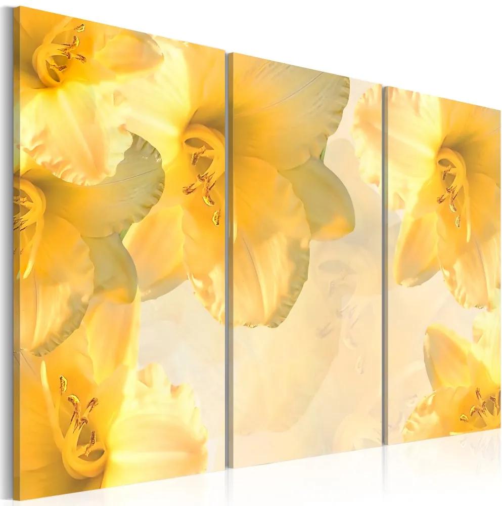 Obraz na plátně Bimago - Žluté lilie 60x40 cm