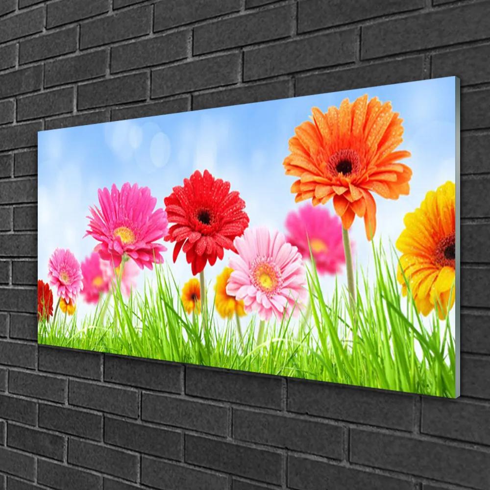 Obraz na skle Květiny tráva Rostlina 140x70 cm