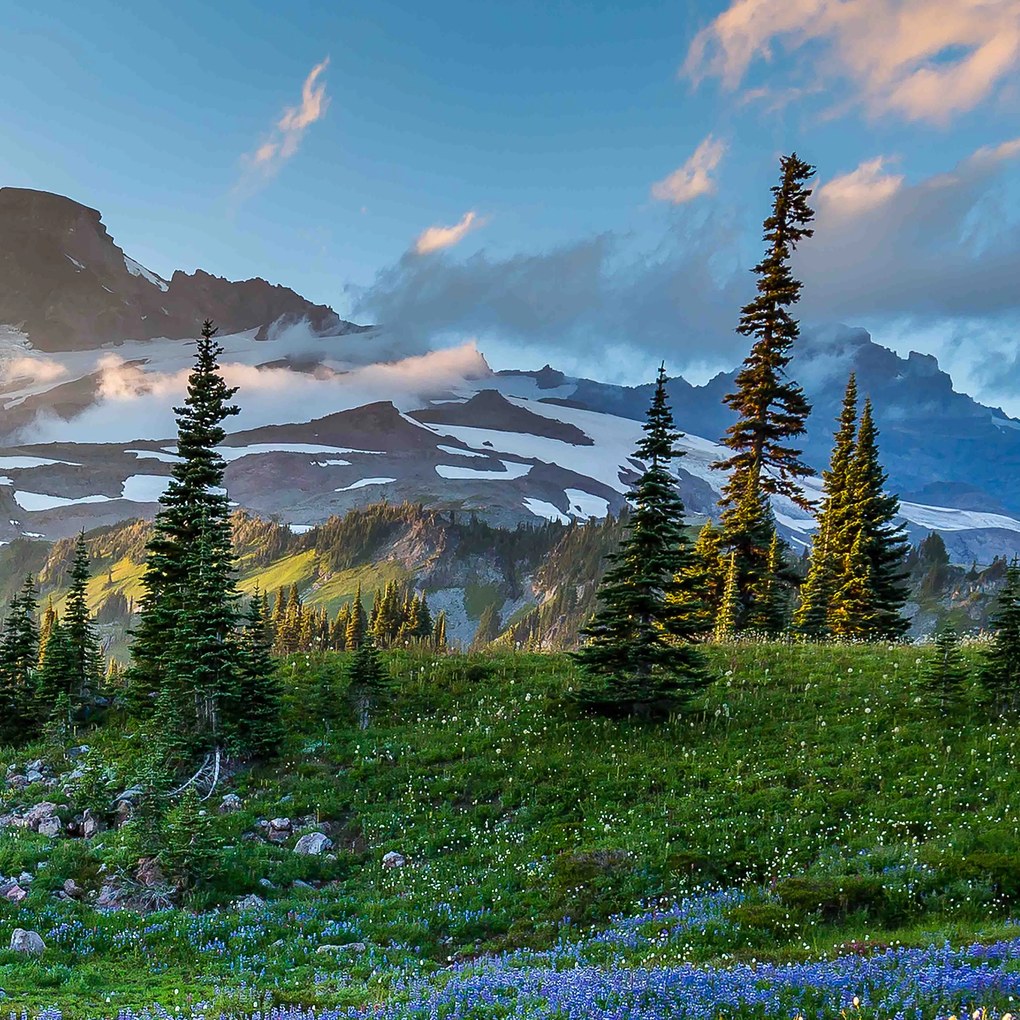 Malvis Tapeta Národní park Mount Rainier Vel. (šířka x výška): 144 x 105 cm