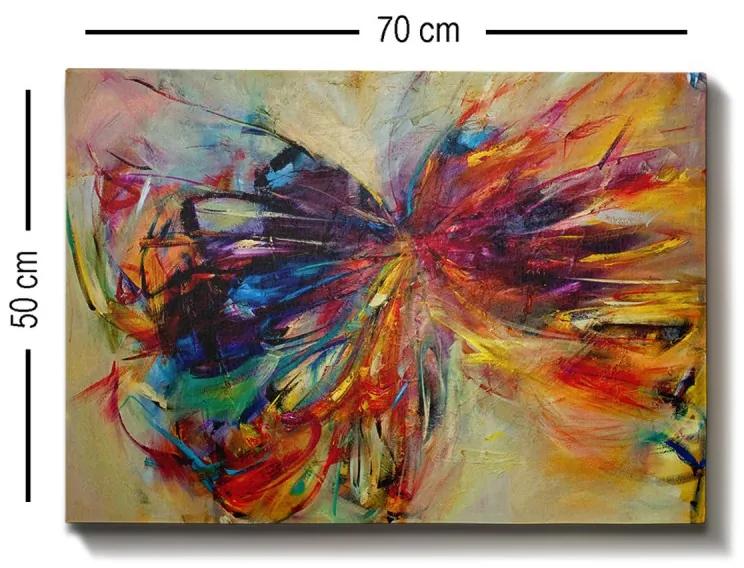 Obraz Motýl 70x50 cm vícebarevný