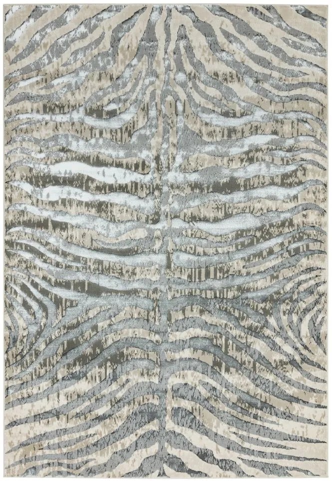 Šedý koberec Ston Zebra Rozměry: 200x290 cm