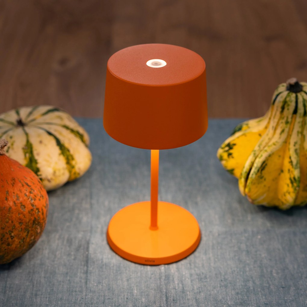 Bezdrátová lampa Olivia Mini 22 cm oranžová