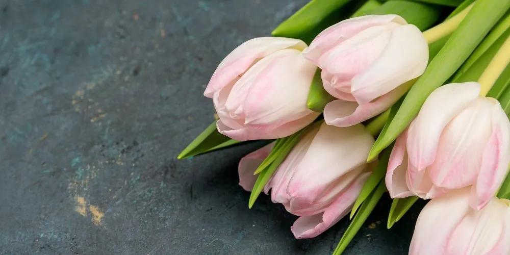 Obraz pastelově růžové tulipány - 120x60 cm