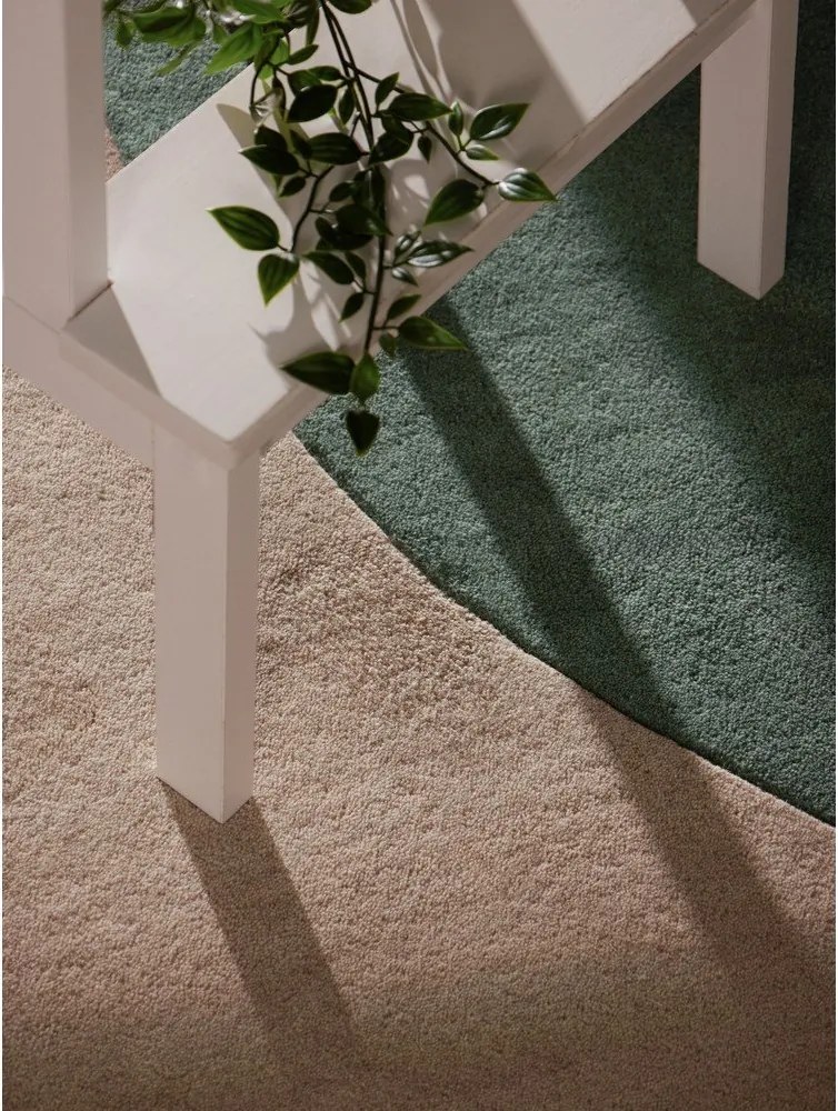 Ručně tkaný vlněný koberec 200x290 cm Westminster Cecil – Ted Baker