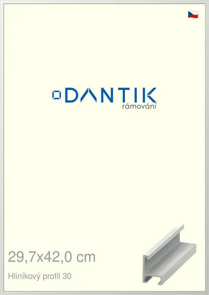 DANTIK rámeček 29,7x42 | ALU profil 6030 Bílá matná (Plexi Čiré)