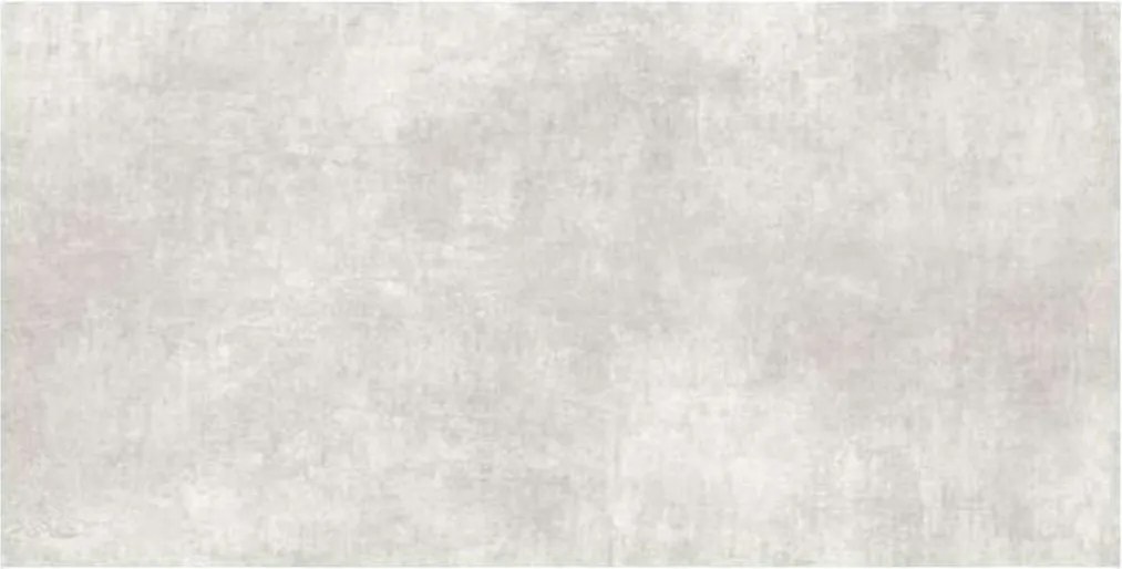 EBS Alpha - Dlažba 30,3x61 cm, matná ceniza ALPH3061C