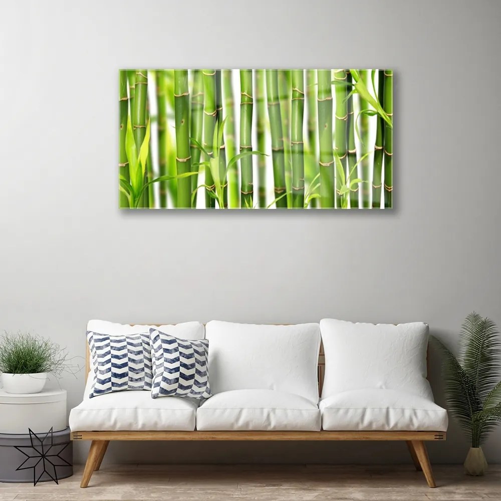 Obraz na skle Bambusové Výhonky Listy Bambus 100x50 cm