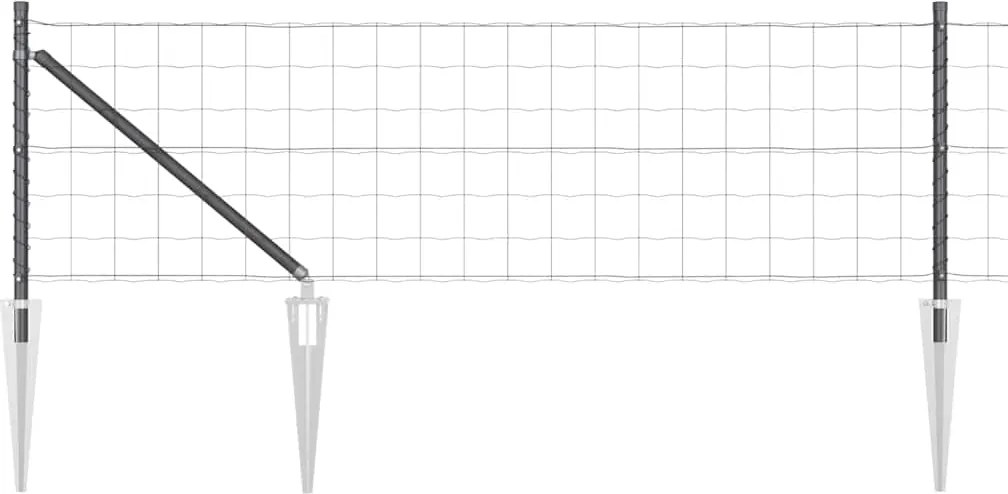 Evropský plot se hroty 10 x 0,8 m Ocel potažená PVC Šedá 3350660
