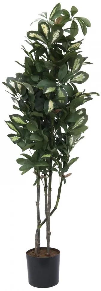 Umělá květina - Šeflera, 90 cm